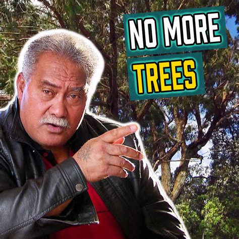 Annoyed Neighbour Wants Trees Removed Neighborhood Tree Annoyed Man Wants Trees Removed
