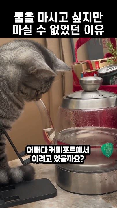 물을 마시고 싶지만 마실 수 없었던 이유 Youtube