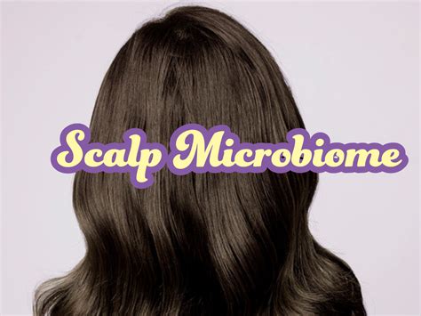 Exploring The Potential How Natural Hair Oil Supports Scalp Microbiome