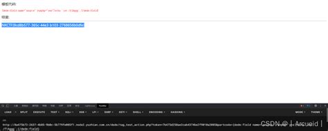 Nkctf2023 Web部分wpweb Sha1碰撞 Csdn博客