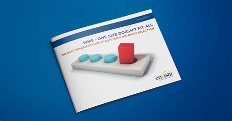 White Paper WMS One Size Doesn T Fit All EnVista