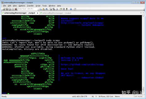 用Python运维网络 scapy 知乎