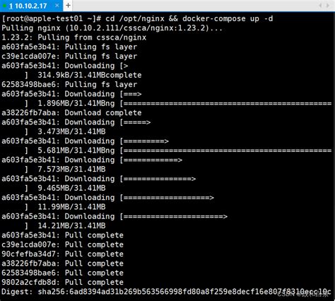 Keepalive Nginx 热备keepalive查节点状态 Csdn博客
