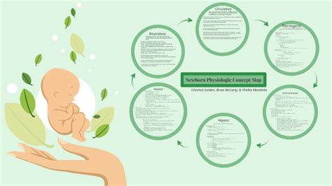 Newborn Concept Map By Charlize Golden On Prezi