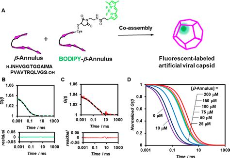 Figure 1 From Fluorescence Correlation Spectroscopy Analysis Of Effect Of Molecular Crowding On