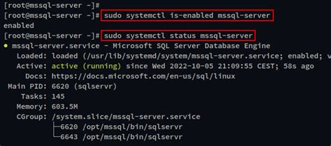 Cómo Instalar Y Utilizar Ms Sql Server En Rocky Linux Howtoforge