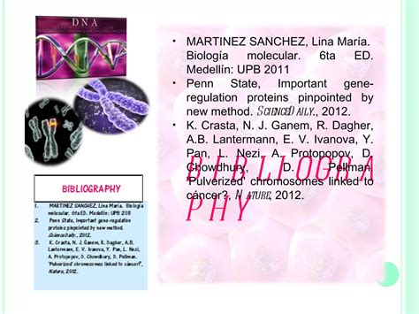 Folding Molecular Biology Ppt