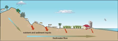 A B Conceptual Models Of Catchment Land Use Activities In Pre European Download Scientific