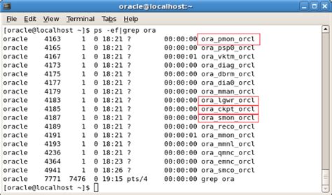 Examining The Oracle Architecture