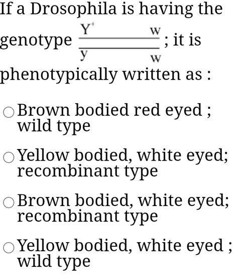 If A Drosophila Is Having The Genotype Y Y W Studyx