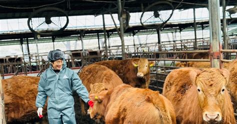 300만원짜리도 완판백화점 한우가 잘나가는 이유 양지윤의 왓츠in장바구니