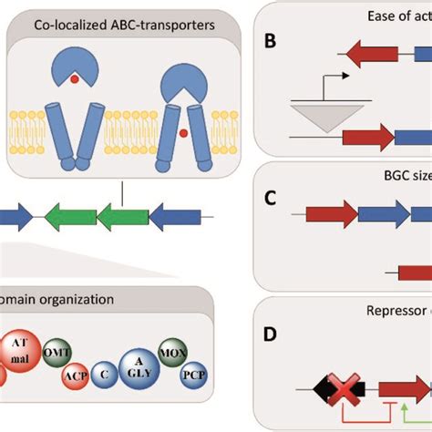 A Gene Cluster Prioritization Techniques B Comparison Of