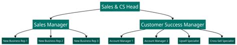 Sales Team Structure Models Plus Scenarios To Build Them Out