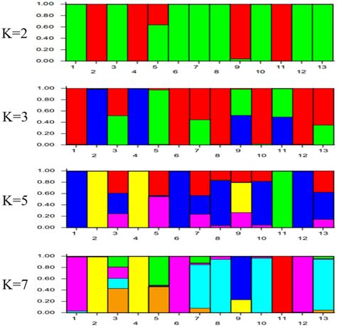 Estimated Genetic Structure Resulting From Bayesian Model Based Download Scientific Diagram
