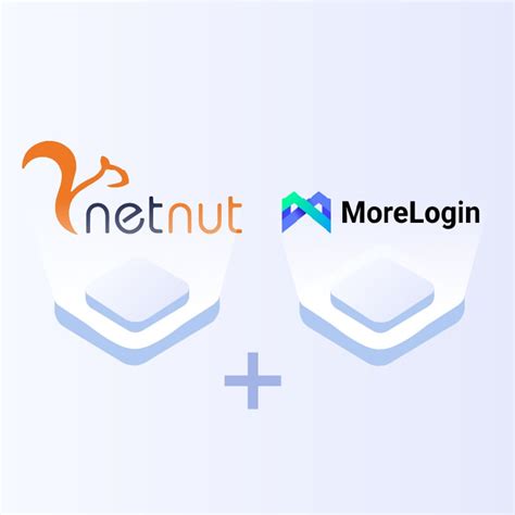 How To Install And Set Up Morelogin Proxy With Netnut Netnut