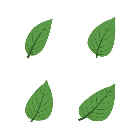 Premium Vector Green Tree Leaf Vector And Various Shapes