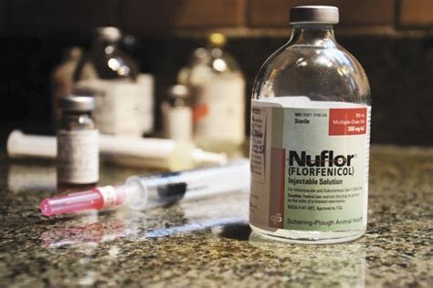 Fda Takes Measures With Antibiotic Use In Livestock Ohio Ag Net