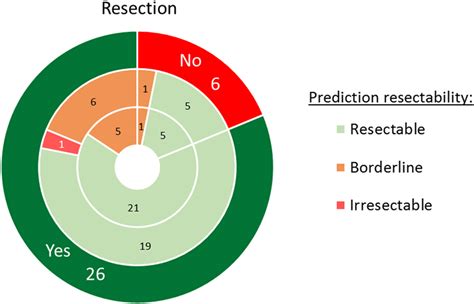 Nested Pie Chart Representing Patients That Underwent Surgery With Download Scientific Diagram