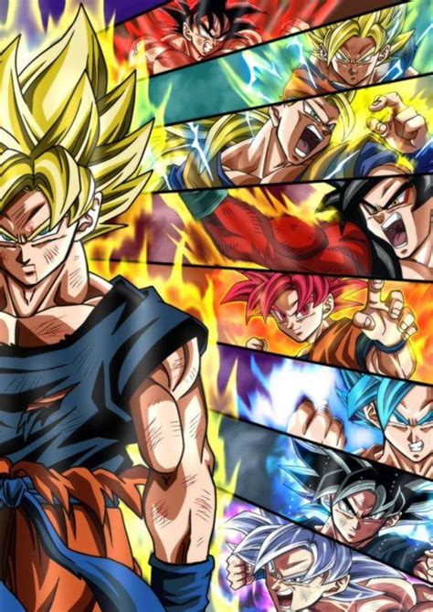 Goku Ssj4 Ssj3 Ssj2 Ssj Mui Ssjblue Kaioken Ssj God Artofit