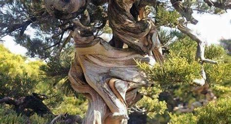 Our Sacred Planet Mother Earth In All Of Its Amazing Beauty And The Quote Of The Day 124 Awaken