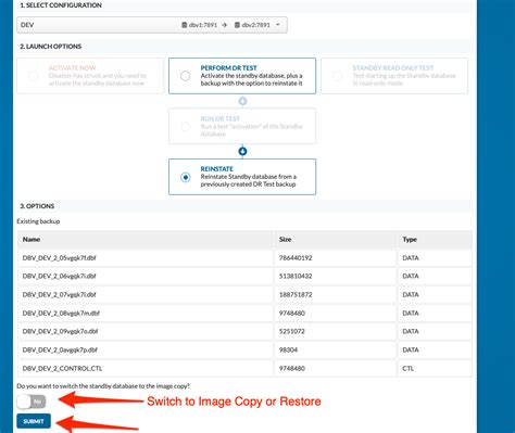 Activate Failover As Standby Database Dbvisit Support