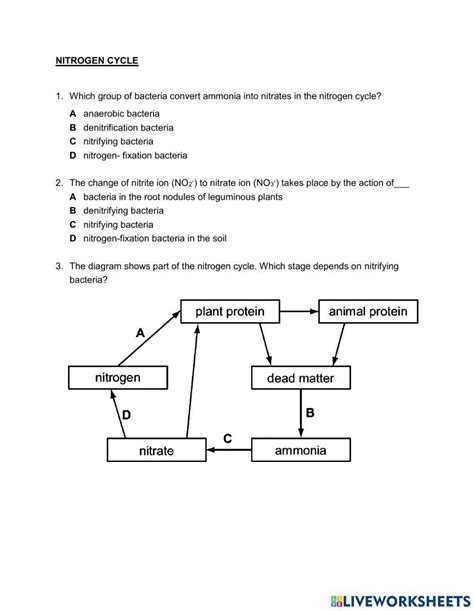 Nitrogen Cycle Worksheet