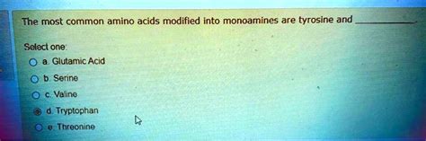 Solved The Most Common Amino Acids Modified Into Monoamines Are Tyrosine And Select One