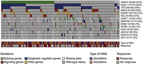 Prognostic Role Of Gene Mutations In Chronic Myelomonocytic Leukemia Patients Treated With