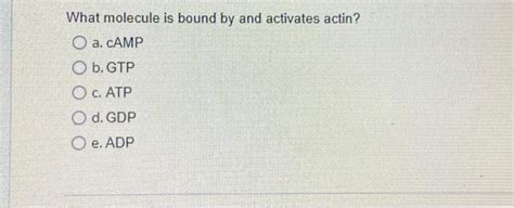 Solved What Molecule Is Bound By And Activates Actin A