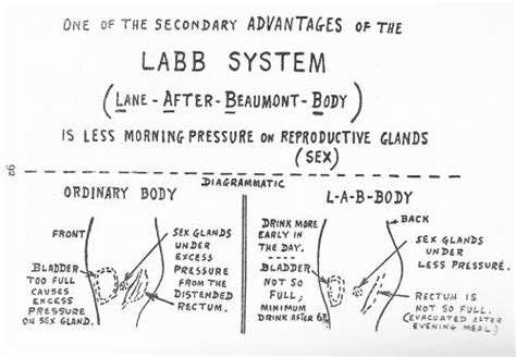 The Labb System For Health Odd Books