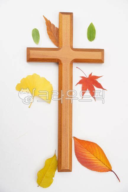 십자가 기독교 하나님 교회 예수님 사진 이미지 일러스트 캘리그라피 Bingbing작가