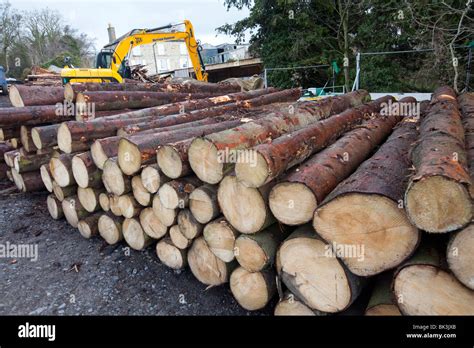 Deforestation Trees Being Chopped Down To Make Way For Farm Land And