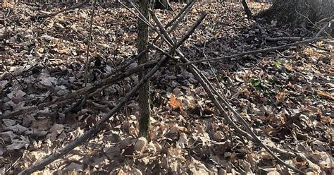 Stick Structures Album On Imgur