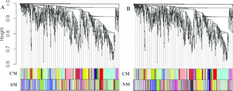 Clustering Dendrogram Of Selected Genes And Gene Modules Under Al Download Scientific Diagram