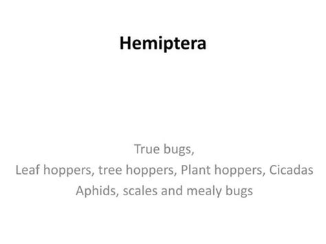Nematodes Trematodes And Cestodes Handouts Pdf