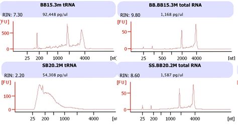 Phodopic Science Rna Extractions And The Bioanalyzer Iii The Solution