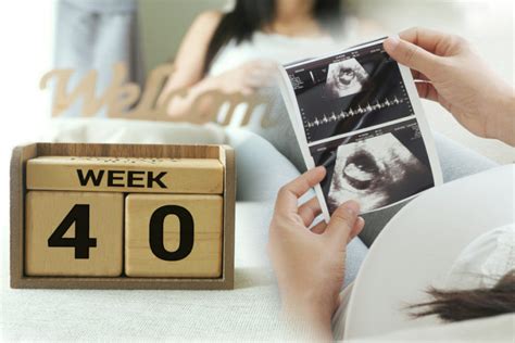 Demystifying Pregnancy Due Dates Understanding And Calculating Your