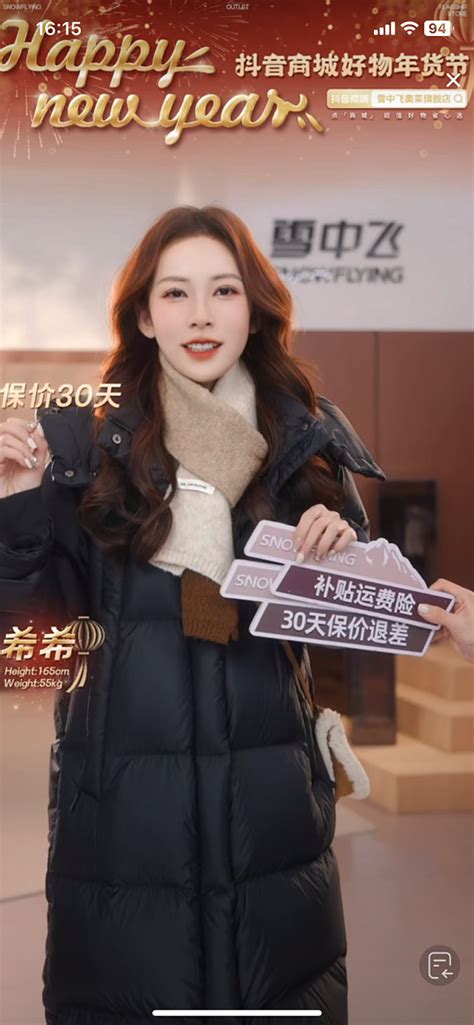 雪中飞