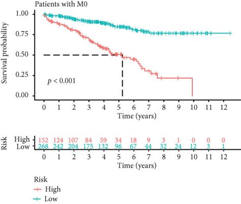 Subgroup Survival Analysis A Risk Score Based Survival Analysis In