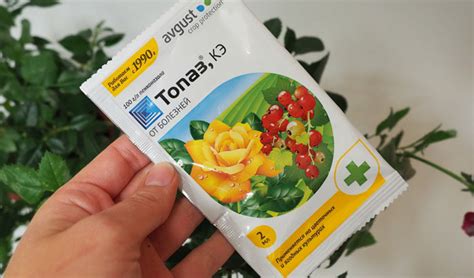 Фунгицид Топаз: инструкция по применению и отзывы огородников