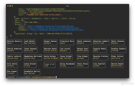 专属python开发者的完美终端工具—rich51cto博客python 终端