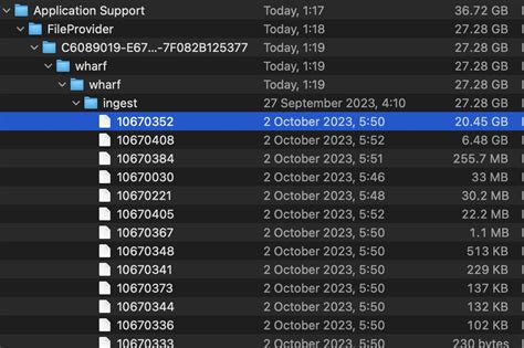 Can Somebody Explain To Me What Is It Rmacos