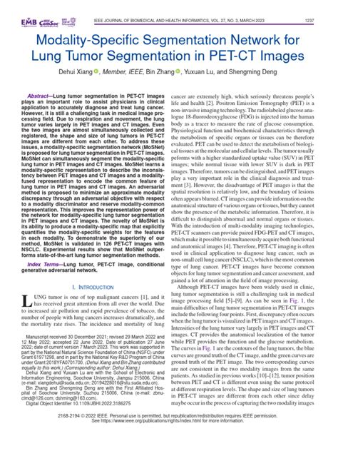 2023 modality specific segmentation network for lung tumor segmentation