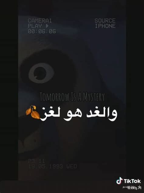 Ahmed Aboelazm On Linkedin Today Is A T 🤗