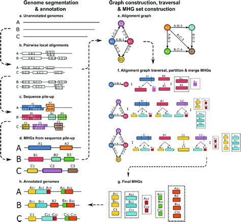 Algorithm For Delineating Maximal Homology Groups Of Sequences Mhgs