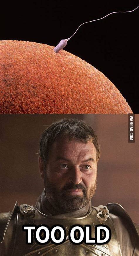 Ser Meryn Trant Doesnt Give A Sht 9gag