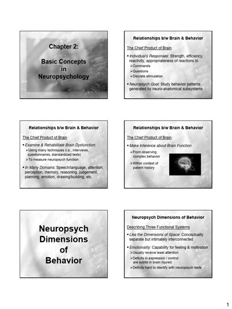 Lezak5 Ch2 Full Pdf Memory Perception