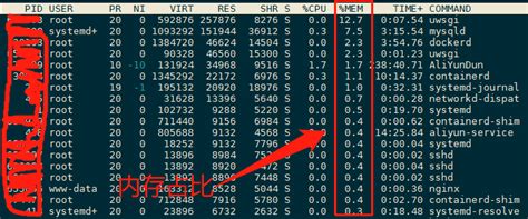 linux服务器 top 查看 内存占用详情 linux开发 loganjin