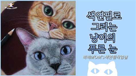 고양이 푸른 눈 그리기 비비moms색연필작업실 Youtube