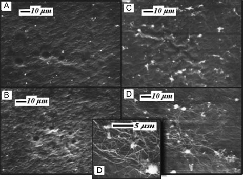 Sem Photographs Of Poly2 Hydroxyethyl Methacrylate Layer Grafted On Download Scientific